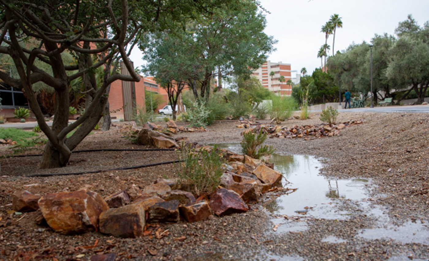 WRRC Webinar Features 104(b) Grant Recipients’ Research | Water ...