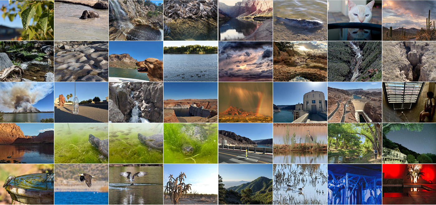 All WRRC 2024 Photo Contest Submissions Now Online! | Water Resources ...
