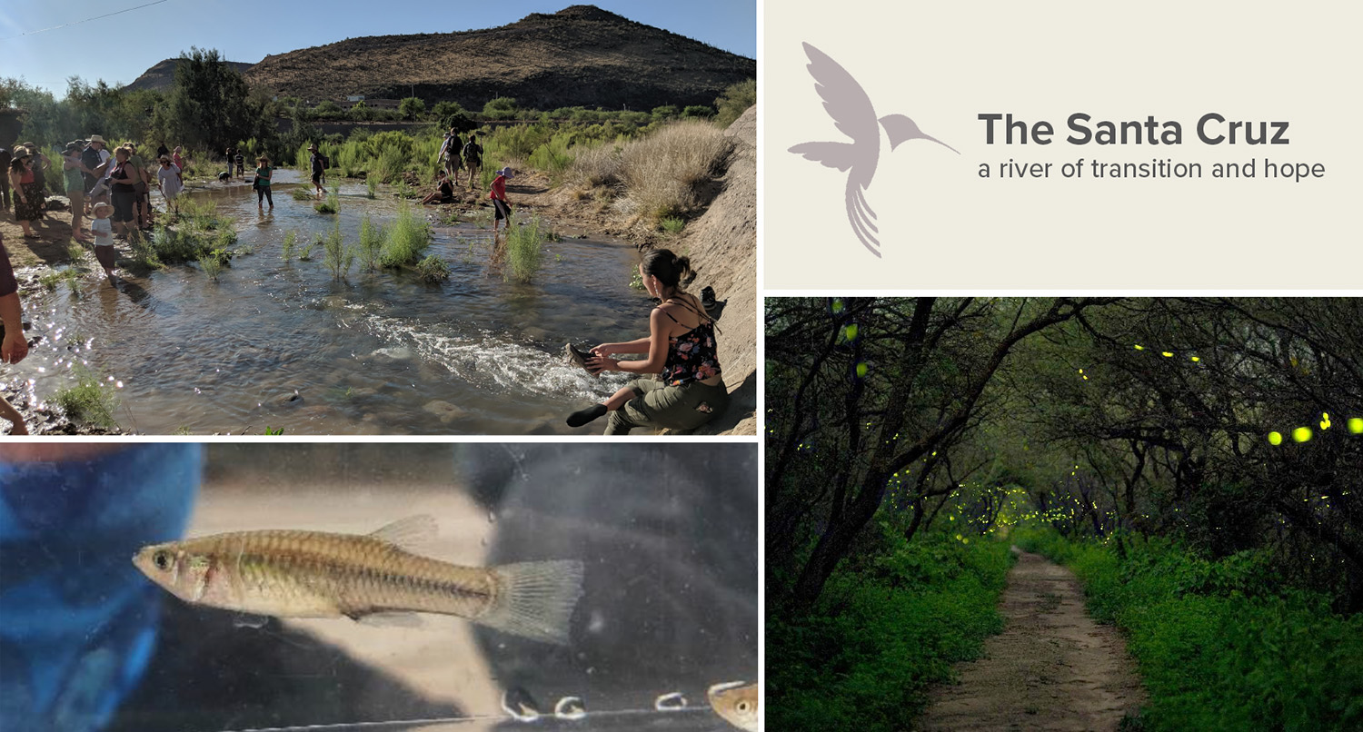 WRRC Webinar Features the Santa Cruz River | Water Resources Research ...