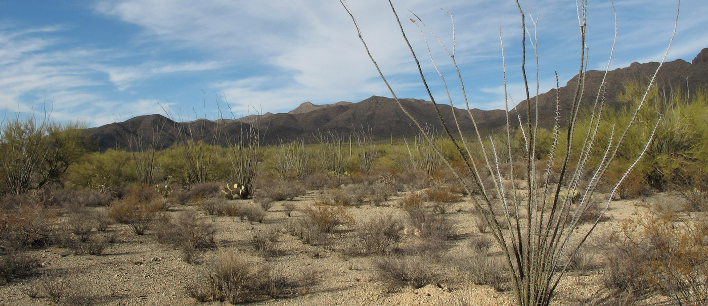 Weekly Wave: Special Edition of the Arroyo Released | Water Resources ...