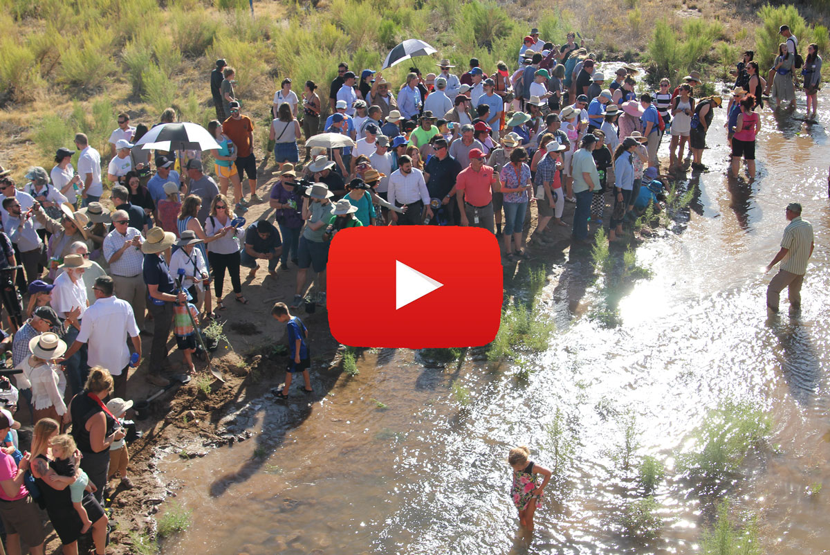 Reviving the River | Water Resources Research Center | The University ...