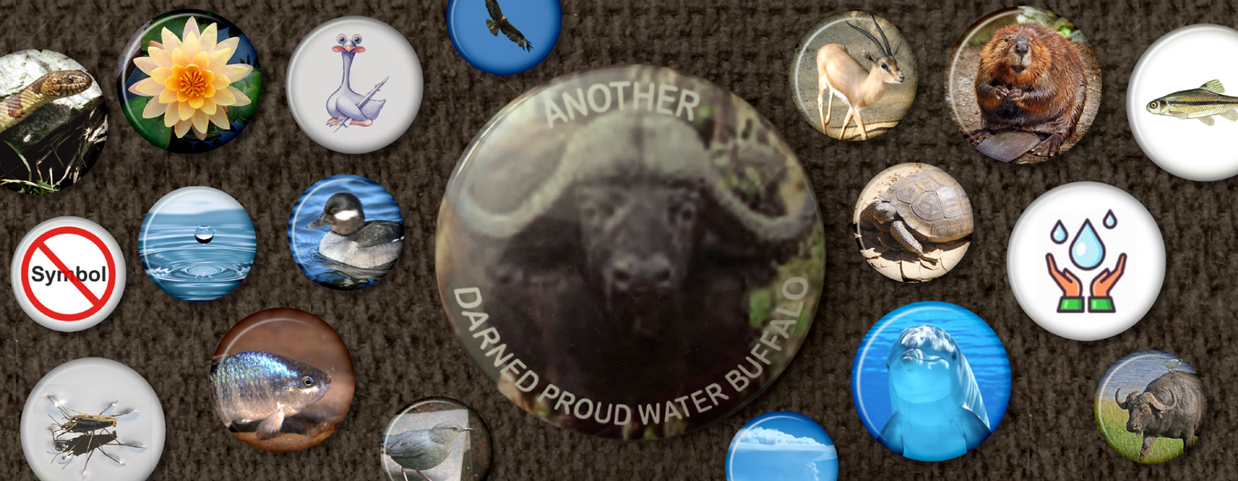 Reflections: Varying Views on My Water Buffalo Symbol Question | Water ...