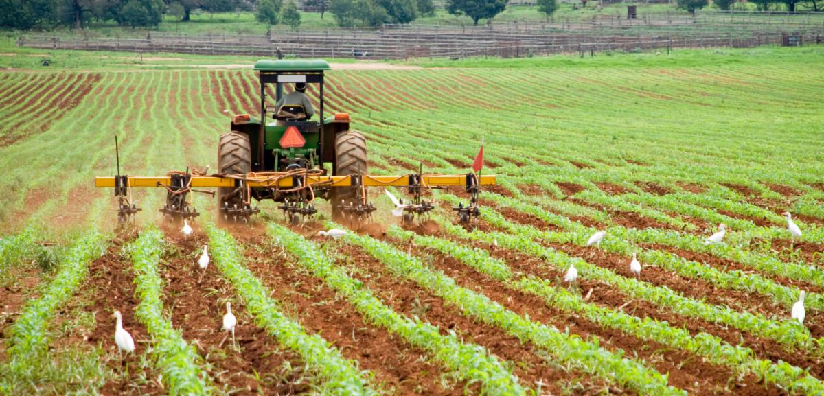Weekly Wave - WRRC Co-Hosts Chile-Arizona Water & Agriculture Webinar ... Weekly Wave - WRRC Co-Hosts Chile-Arizona Water & Agriculture Webinar ...