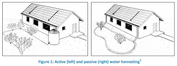 Policies for Implementing Water Harvesting in Arid Regions: A Continuum ...